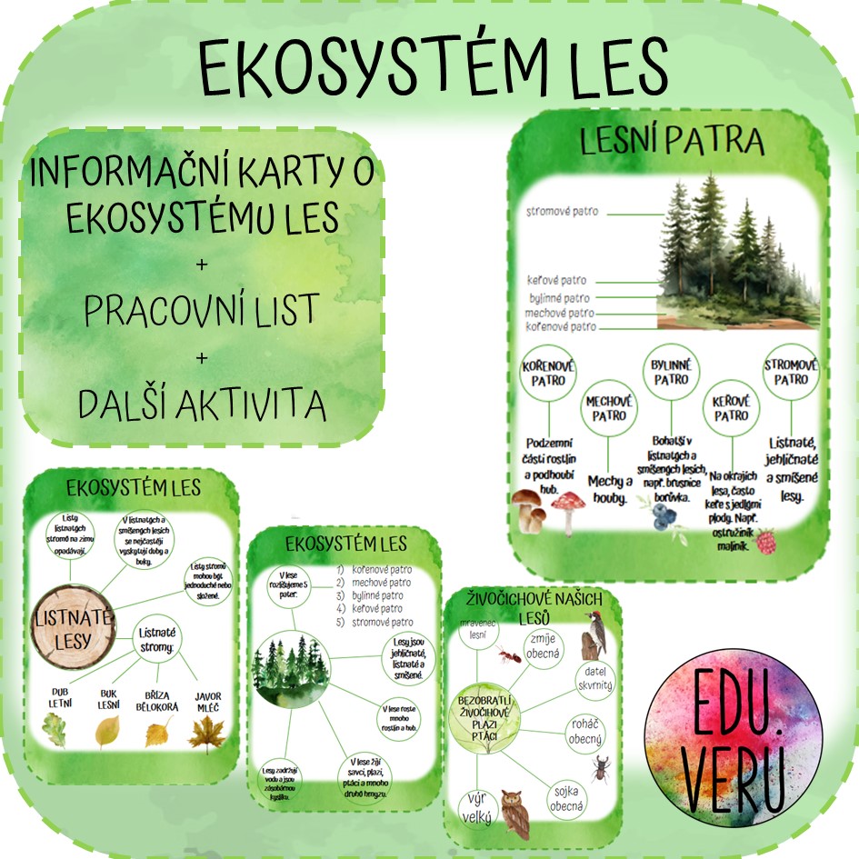 Ekosystém les - Přírodověda | UčiteléUčitelům.cz